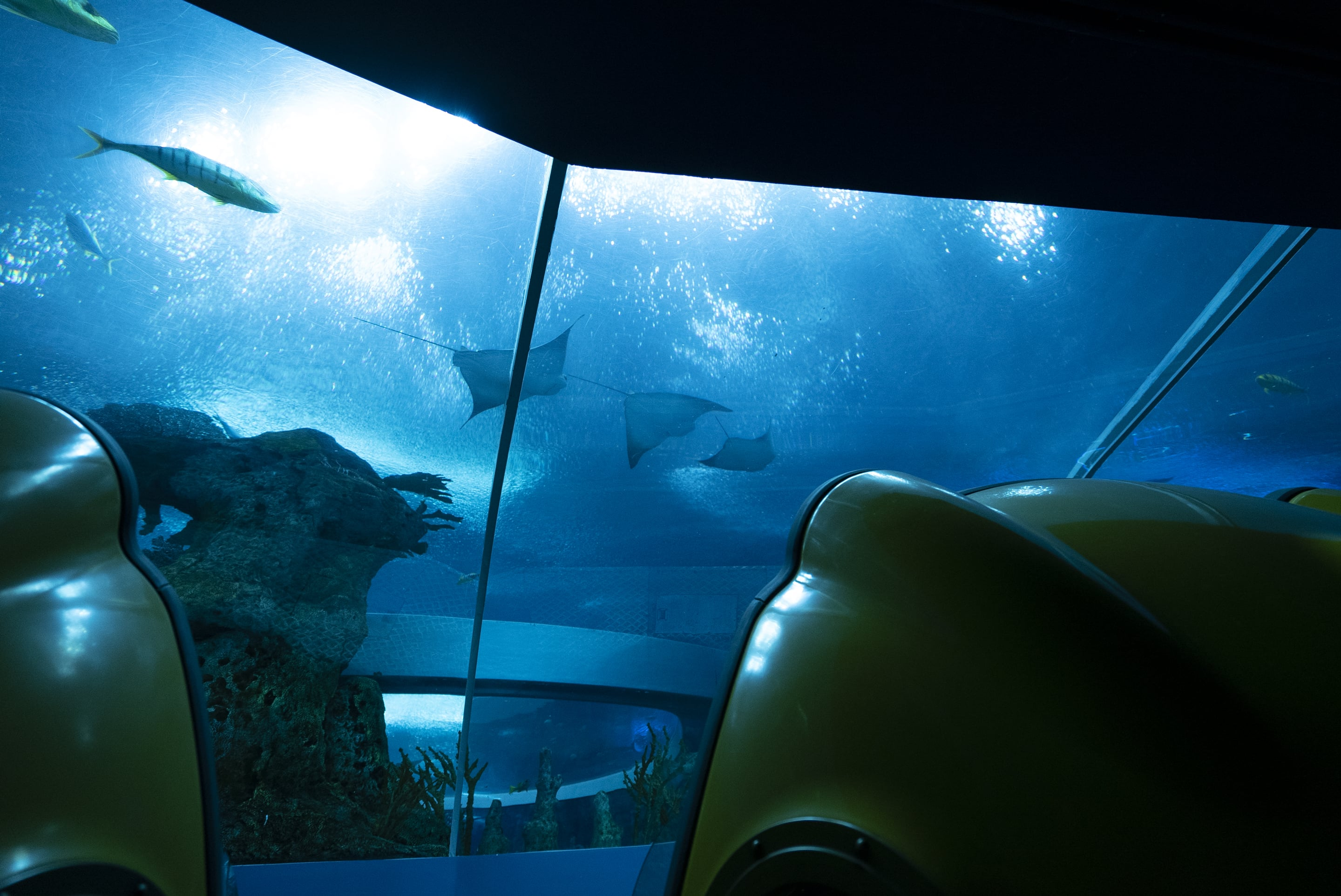 Deep Sea Odyssey - Dark Ride - Chimelong Ocean Kingdom | kraftwerk.at